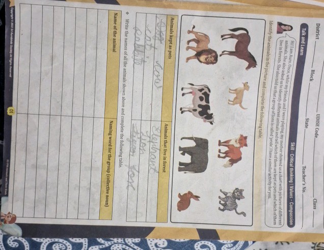 Identify the animals in the picture and | StudyX