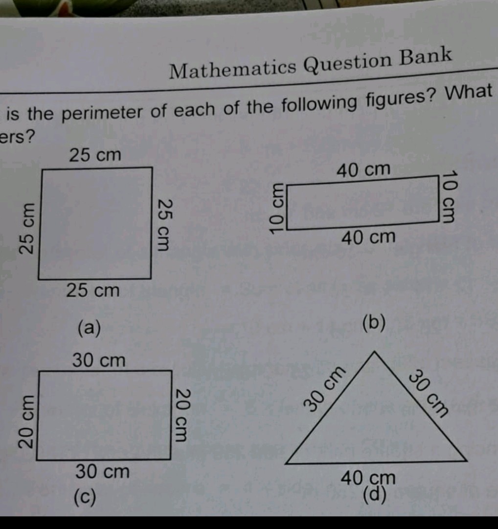 Mathematics Question Bank is the perimeter | StudyX