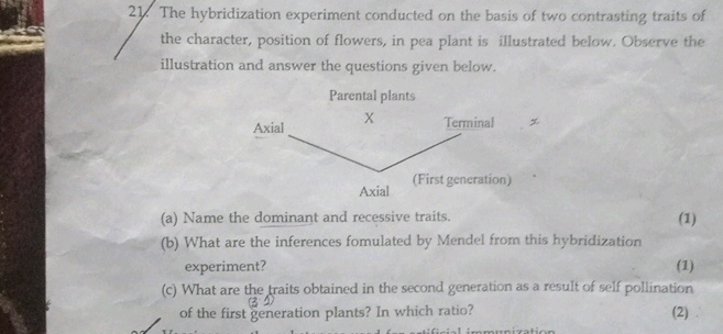 21 The hybridization experiment conducted on | StudyX
