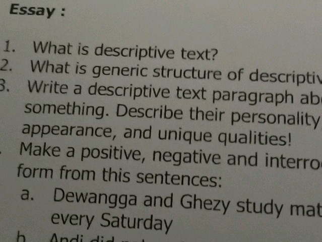 Essay 1 What is descriptive text 2 What is | StudyX