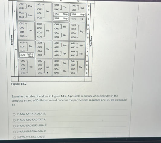 Examine the table of codons in Figure 142 A
