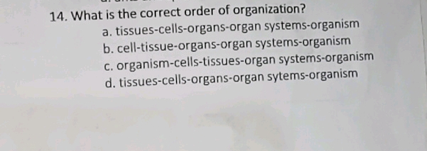 14 What is the correct order of organization | StudyX