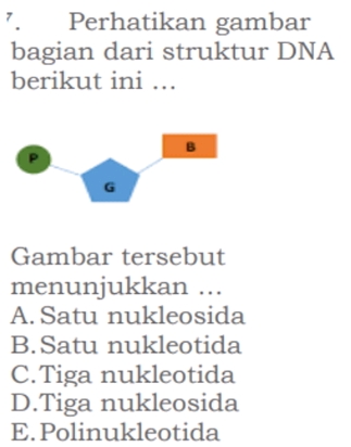 7 Perhatikan gambar bagian dari struktur DNA | StudyX