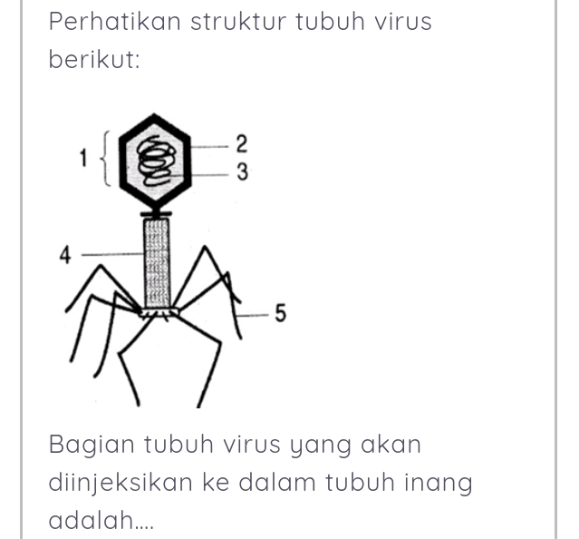 Perhatikan struktur tubuh virus berikut | StudyX