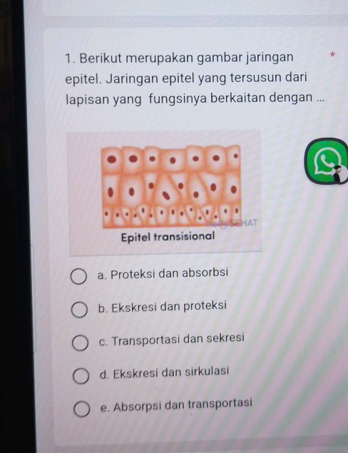 1 Berikut merupakan gambar jaringan epitel | StudyX