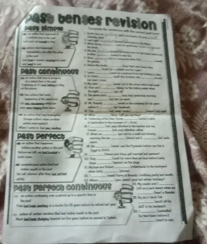 Complete the sentences with the correct past | StudyX