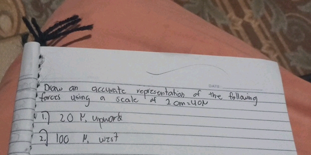 Draw an accurate representation of the | StudyX