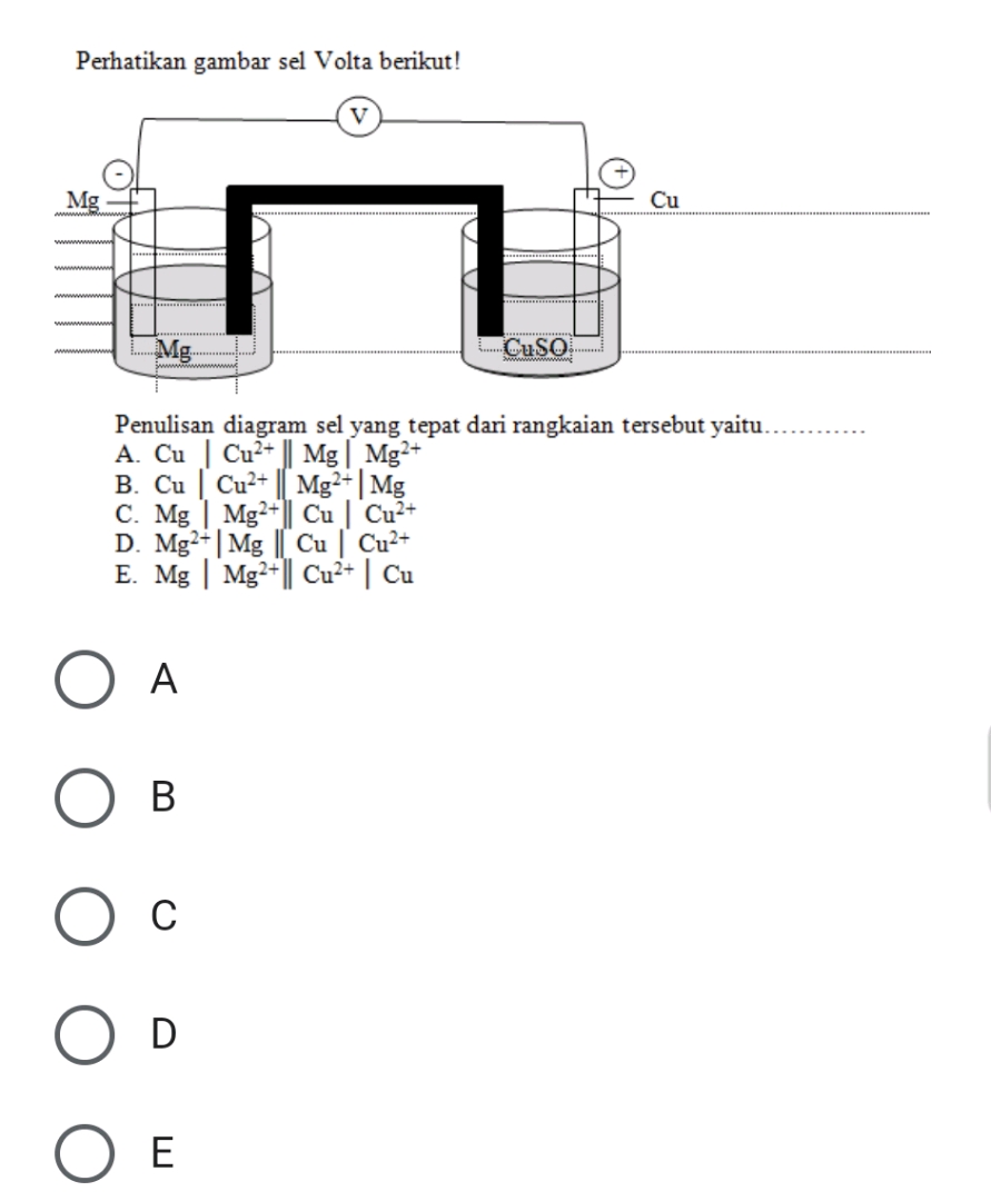 Perhatikan gambar sel Volta berikut Mg Mg V | StudyX