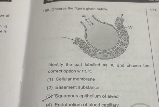 168 Observe the figure given below figure | StudyX