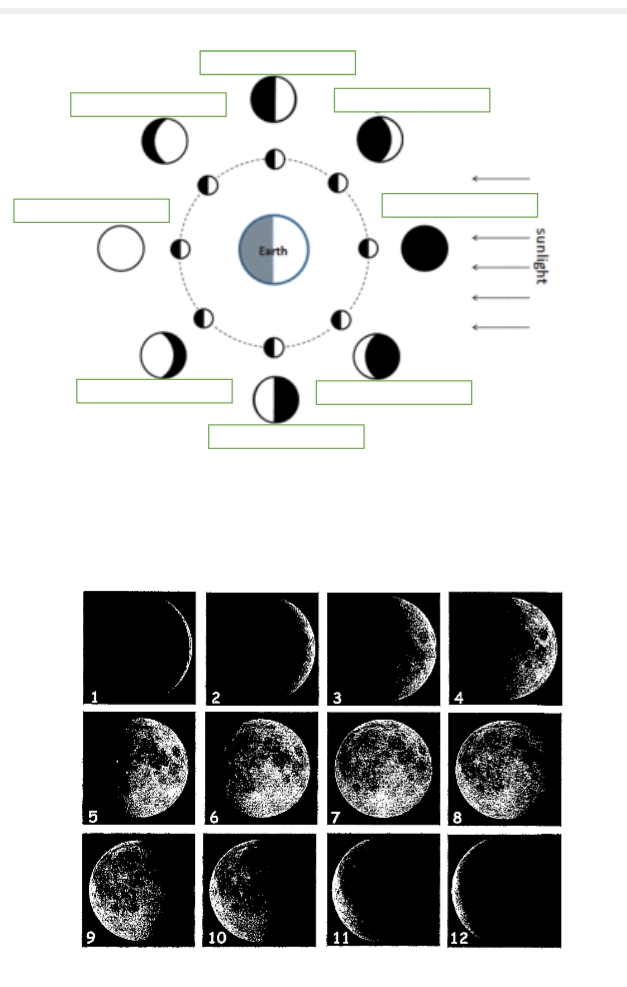 The diagram shows the phases of the moon as | StudyX