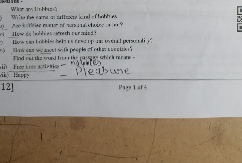 What are Hobbies Write the name of different | StudyX