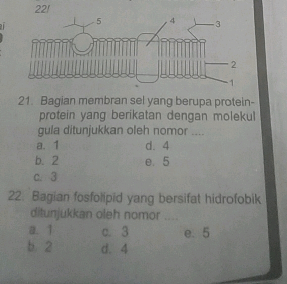 21 Bagian membran sel yang berupa | StudyX