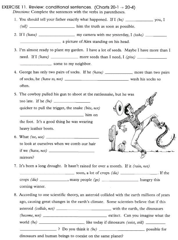 EXERCISE 11 Review conditional sentences | StudyX