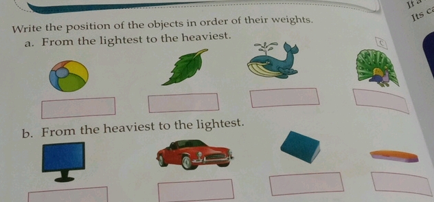 Write the position of the objects in order | StudyX