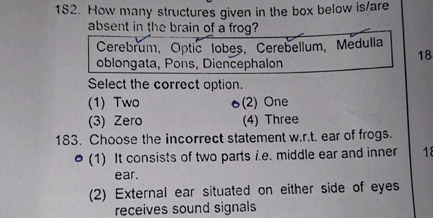 182 How many structures given in the box | StudyX