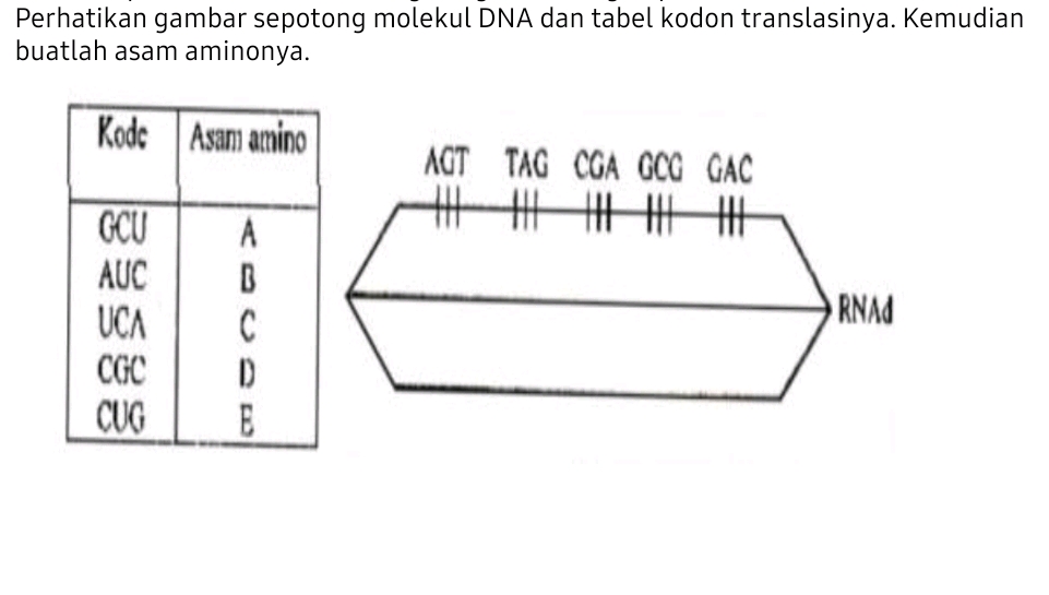 Perhatikan gambar sepotong molekul DNA dan | StudyX