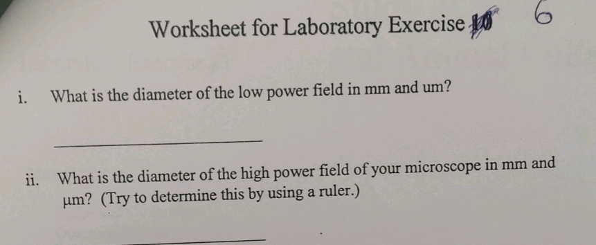 Worksheet for Laboratory Exercise 10 i What | StudyX