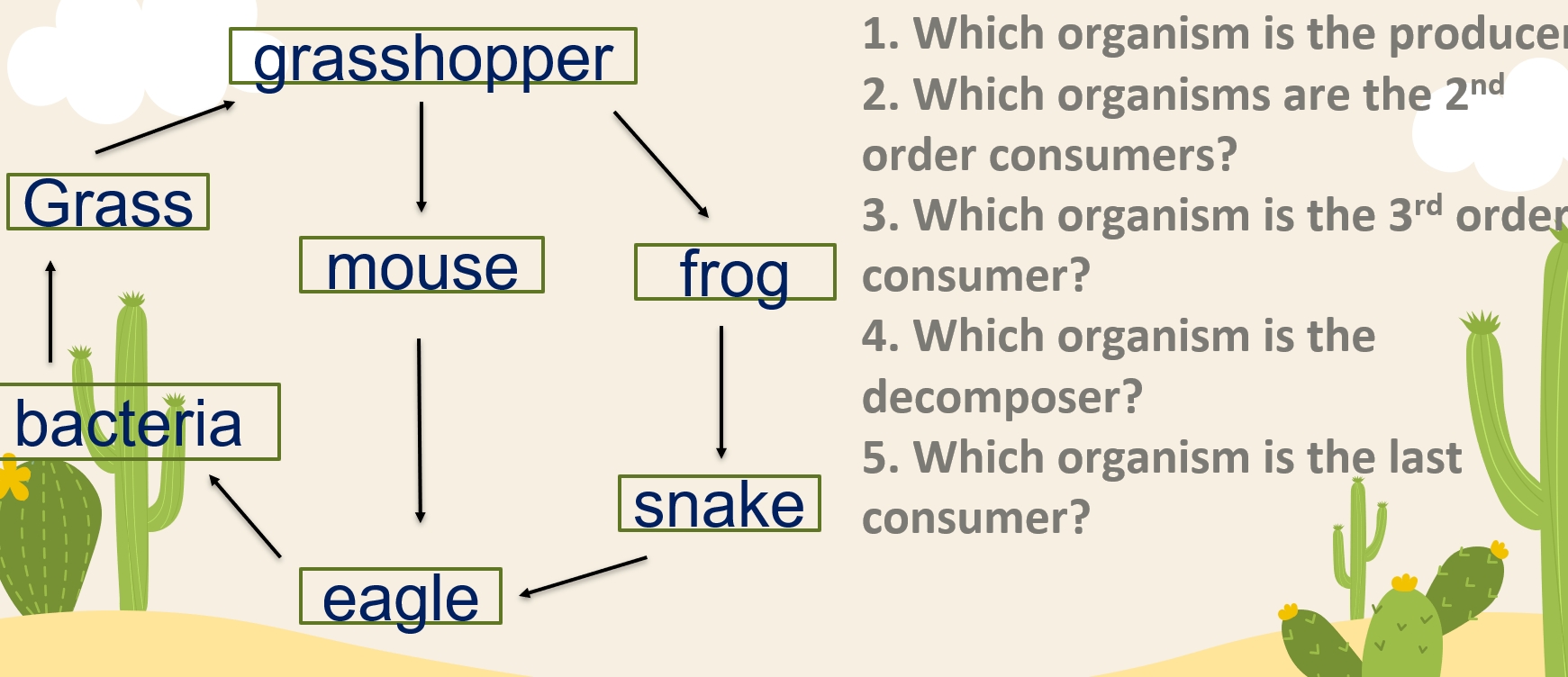 grasshopper 1 Which organism is the producer | StudyX
