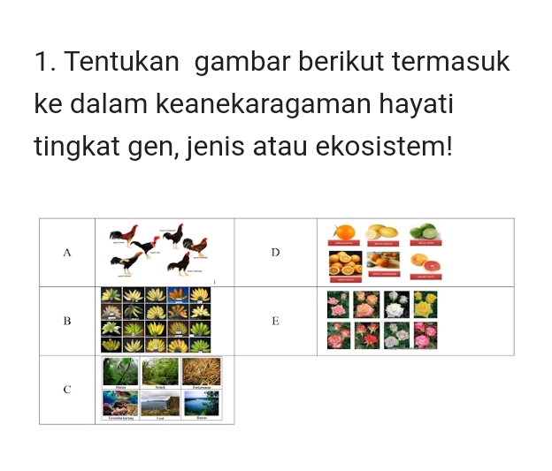 1 Tentukan gambar berikut termasuk ke dalam | StudyX