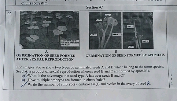 The images above show two types of | StudyX