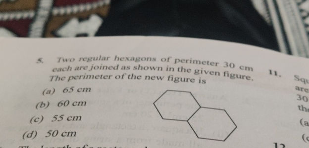 5 Two regular hexagons of perimeter 30 cm | StudyX