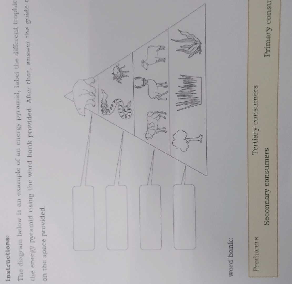 Instructions The diagram below is an example | StudyX