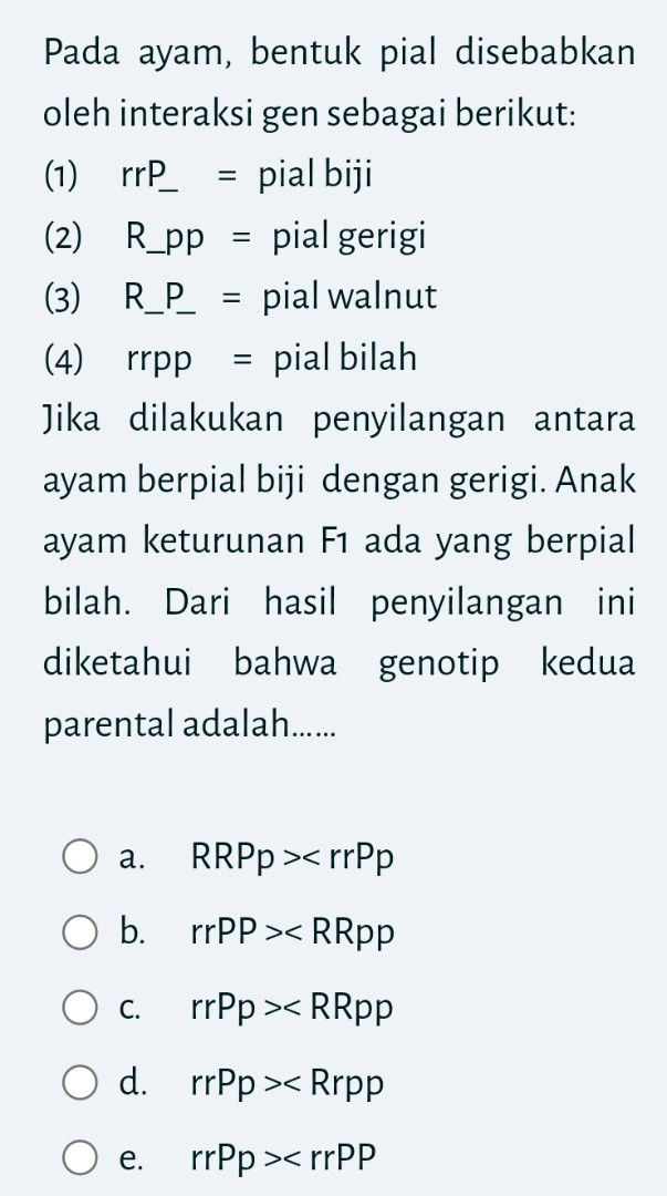 Pada ayam bentuk pial disebabkan oleh | StudyX