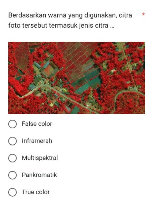 Berdasarkan warna yang digunakan citra foto | StudyX