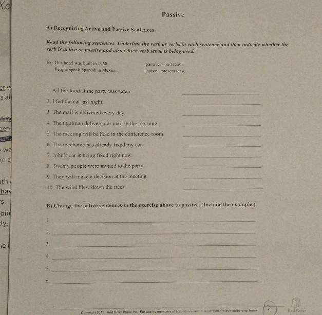 A) Recognizing Active and Passive Sentences | StudyX