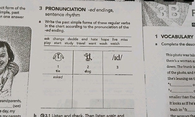 3 PRONUNCIATION ed endings sentence rhythm a | StudyX