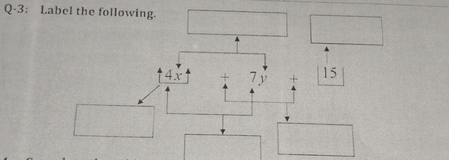 Q-3 Label the following Diagram showing a | StudyX
