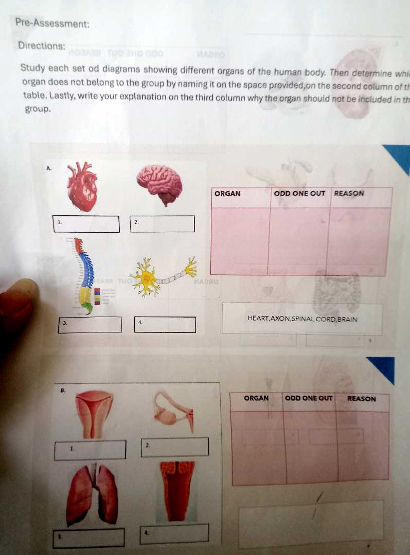 Pre-Assessment DirectionsStudy each set od | StudyX