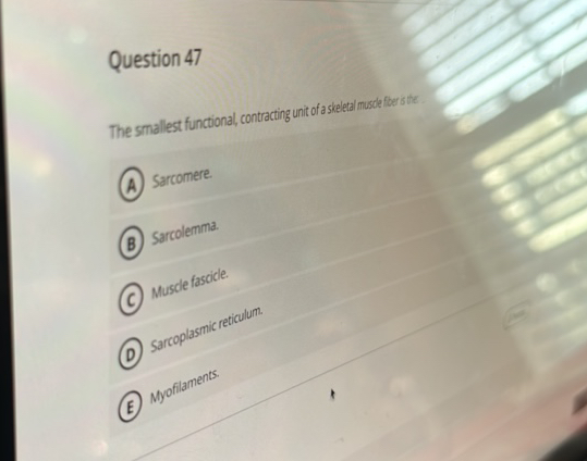 Question 47 The smallest functional | StudyX