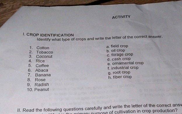 ACTIVITY 1 CROP IDENTIFICATION Identify what | StudyX
