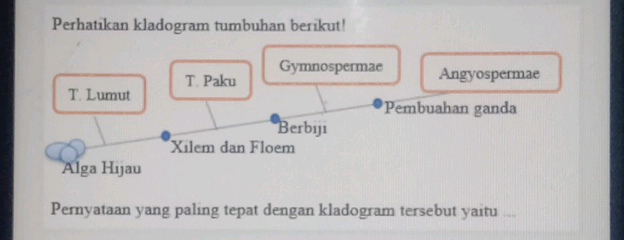 Perhatikan kladogram tumbuhan berikut | StudyX