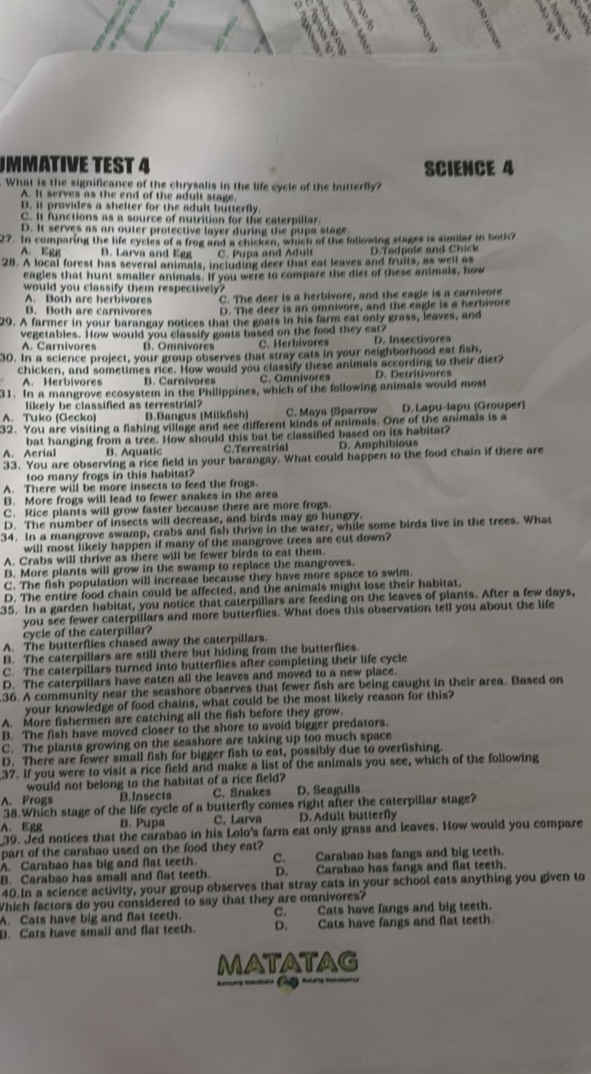 IMMATIVE TEST 4 SCIENEE 4 What is the | StudyX