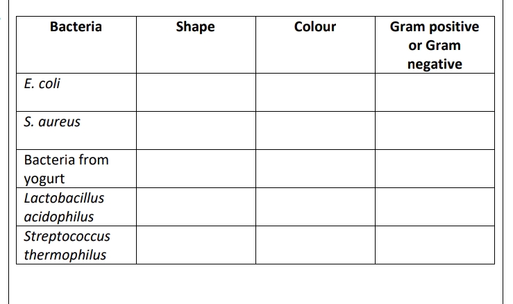 Bacteria Shape Colour Gram positive or Gram | StudyX