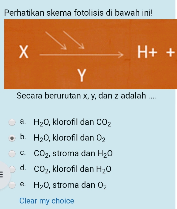 Perhatikan skema fotolisis di bawah ini X Y | StudyX