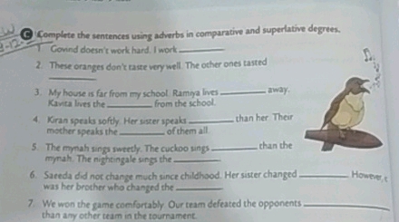 Complete the sentences using adverbs in | StudyX