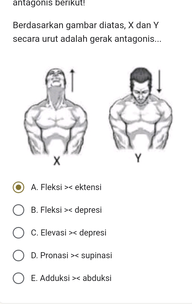 antagonis berikut Berdasarkan gambar diatas | StudyX