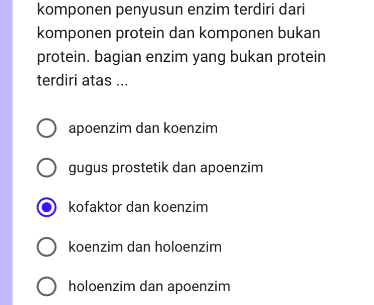 komponen penyusun enzim terdiri dari | StudyX