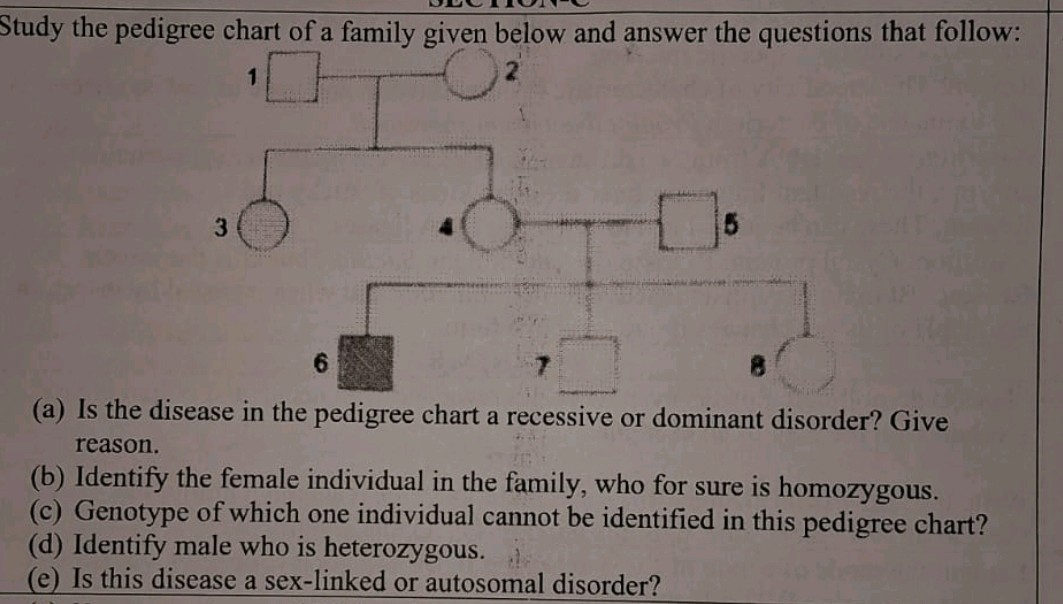 Study the pedigree chart of a family given | StudyX
