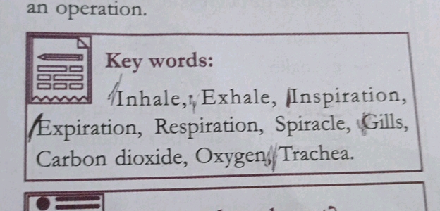 Key words Inhale Exhale Inspiration | StudyX