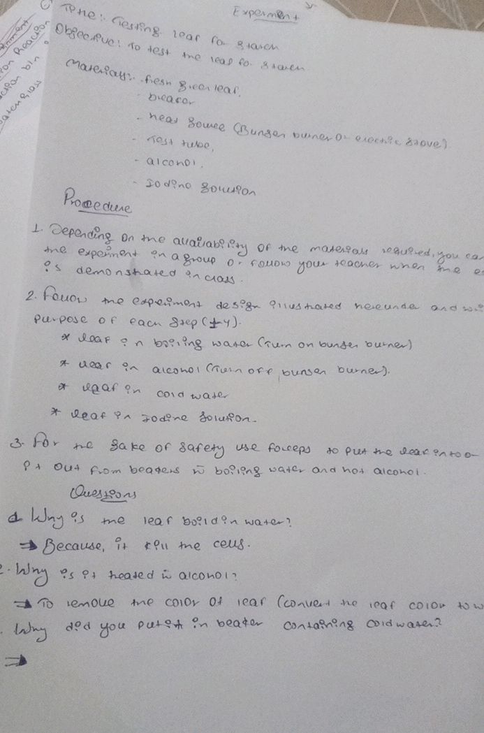 ExperimentTesting leaf for starch | StudyX