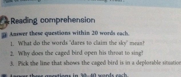 Reading comprehension Answer these questions | StudyX