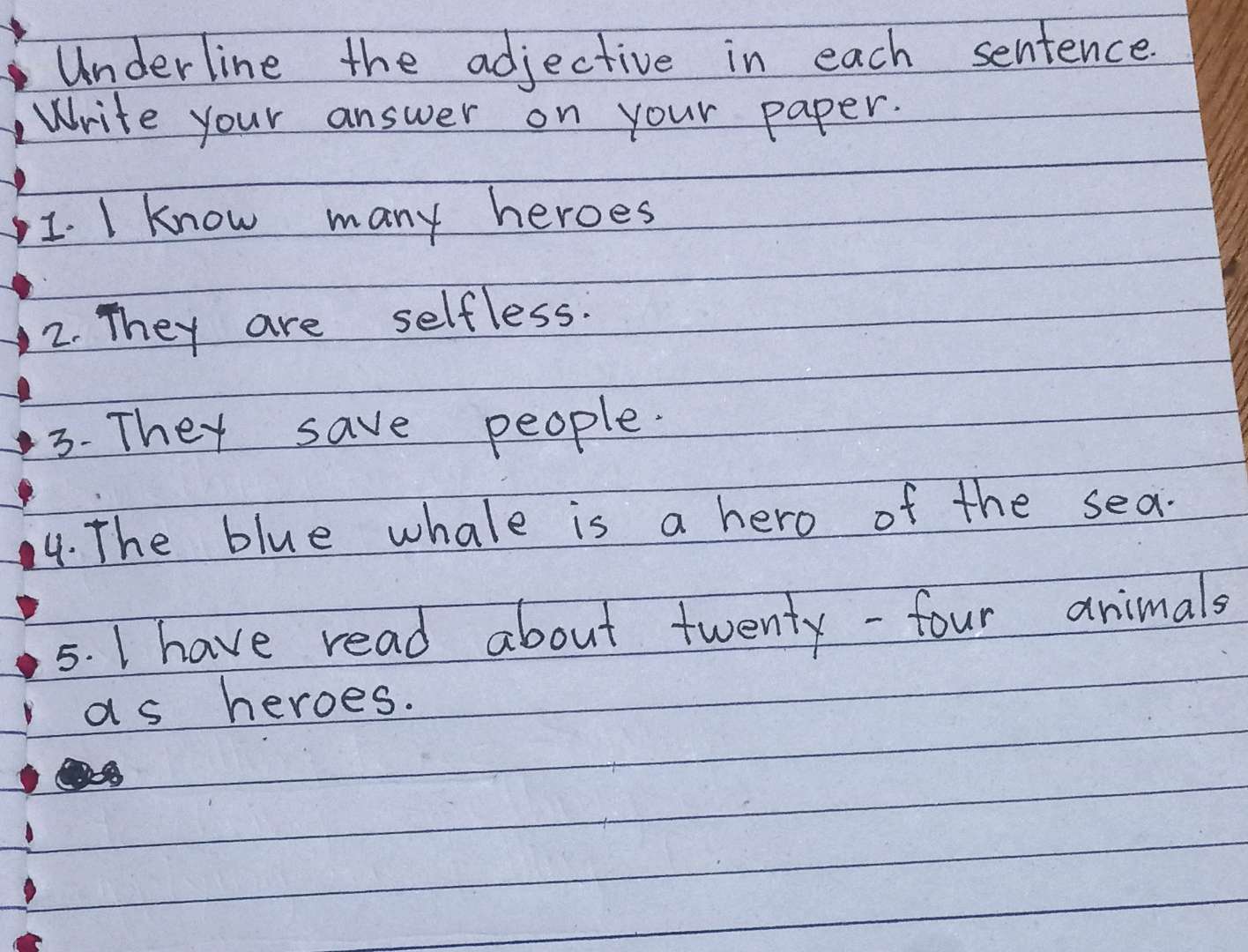 Underline the adjective in each sentence | StudyX