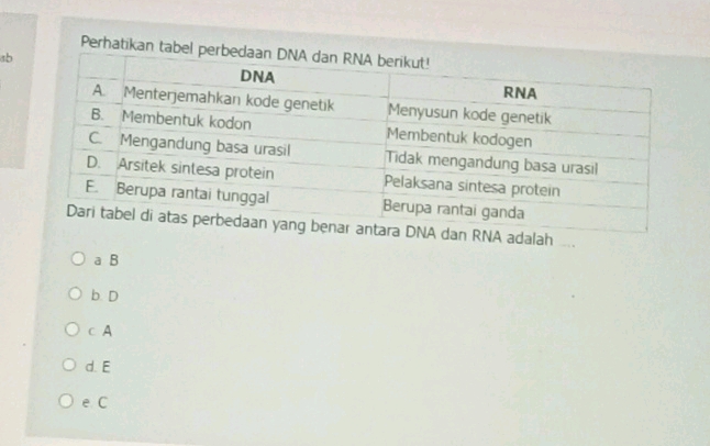 Perhatikan tabel perbedaan DNA dan RNA | StudyX