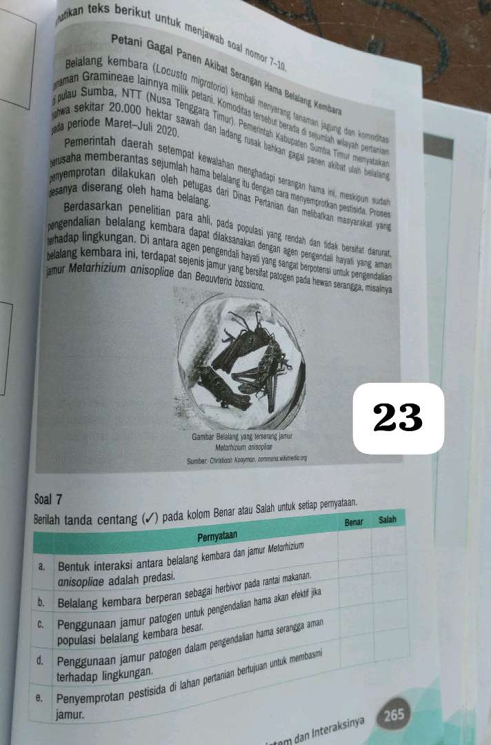 Berilah tanda centang () pada kolom Benar | StudyX