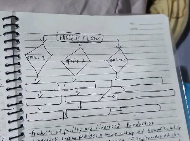 Option 1 PROCESS FLOW Option 2 options) | StudyX