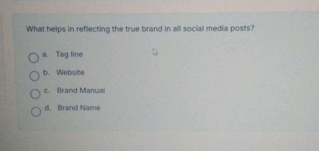 What helps in reflecting the true brand in | StudyX